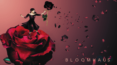 Bloomhaus Florist - Same Day Flower Delivery across Melbourne