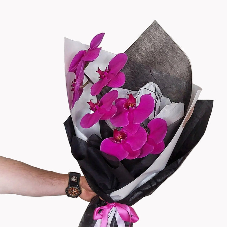 Phally - Phalaenopsis Orchid Stem | BLOOMHAUS MELBOURNE